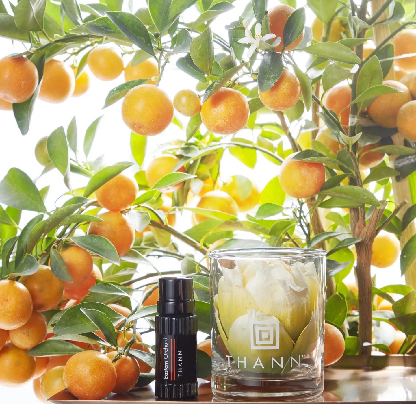 THANN Eastern Orchard Essential Oil 10ml. x 1 | Everuts