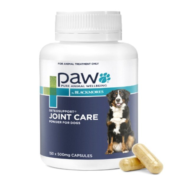 Paw Osteosupport Joint Care Powder For Dogs | Everuts