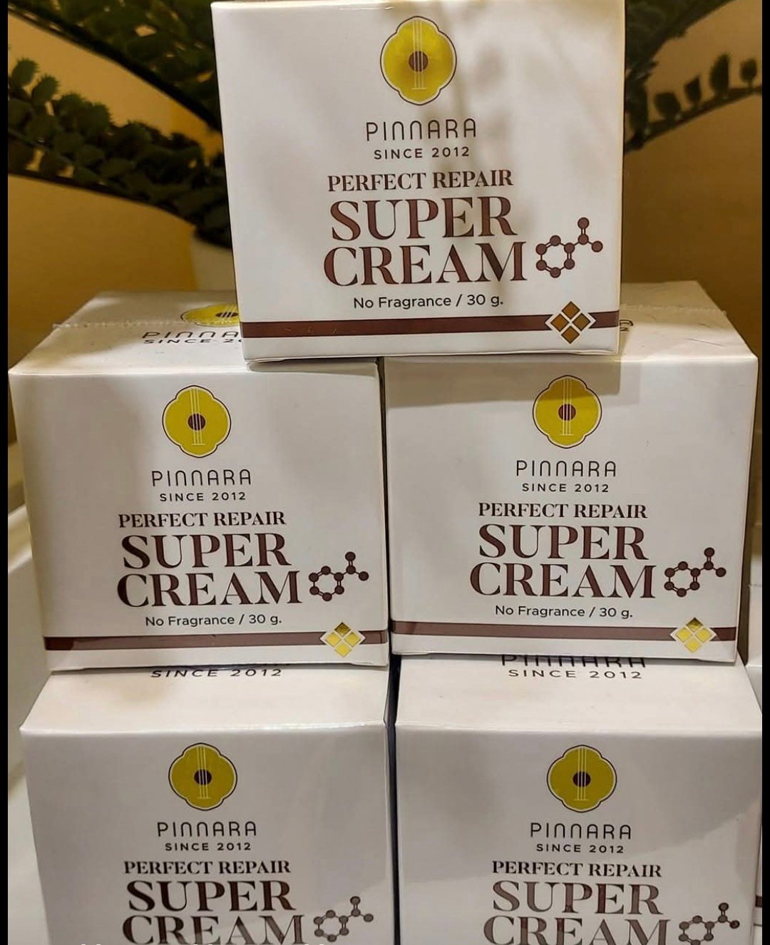 Pinnara Perfect Repair Super Cream 30g | Everuts