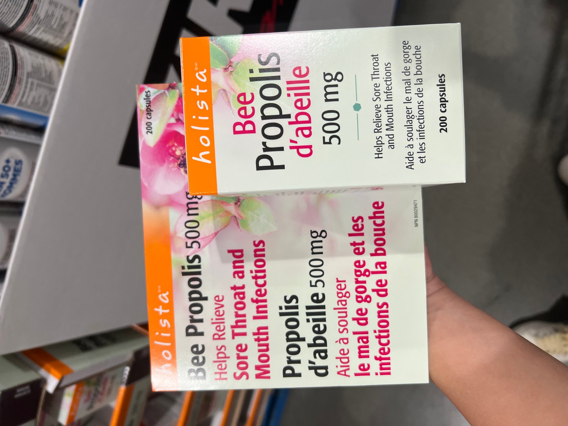 Holista Bee Propolis 500mg 200粒 | Everuts