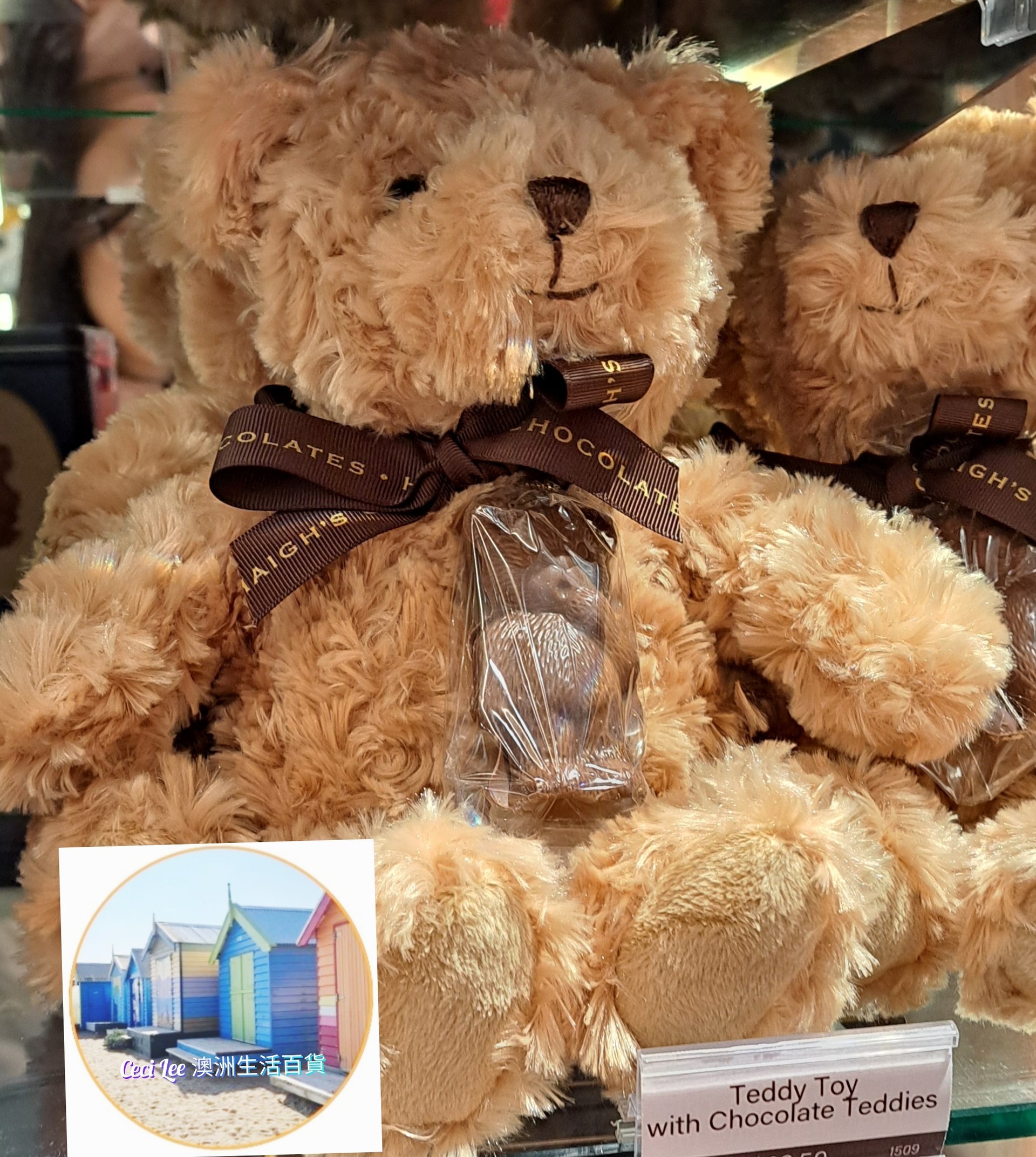 Haigh's Chocolate Golden Brown Teddy Toy with Choc... | Everuts