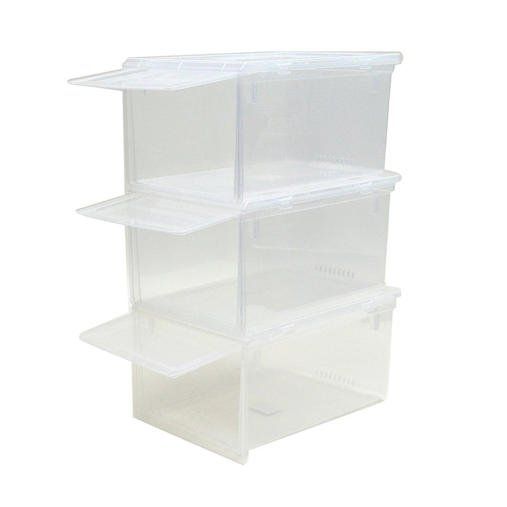 LOTUSS SLIDE SHOE BOX PACK 3 | Everuts